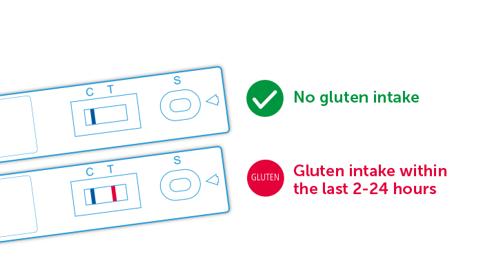 How To Use - GlutenDetect Home Gluten Test Kits